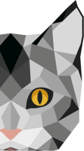 Expert Eye Care for Pets | Veterinary Vision Specialists