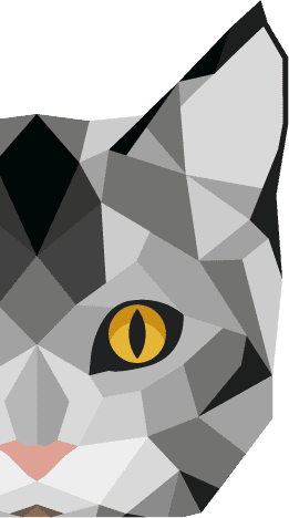 Expert Eye Care for Pets | Veterinary Vision Specialists