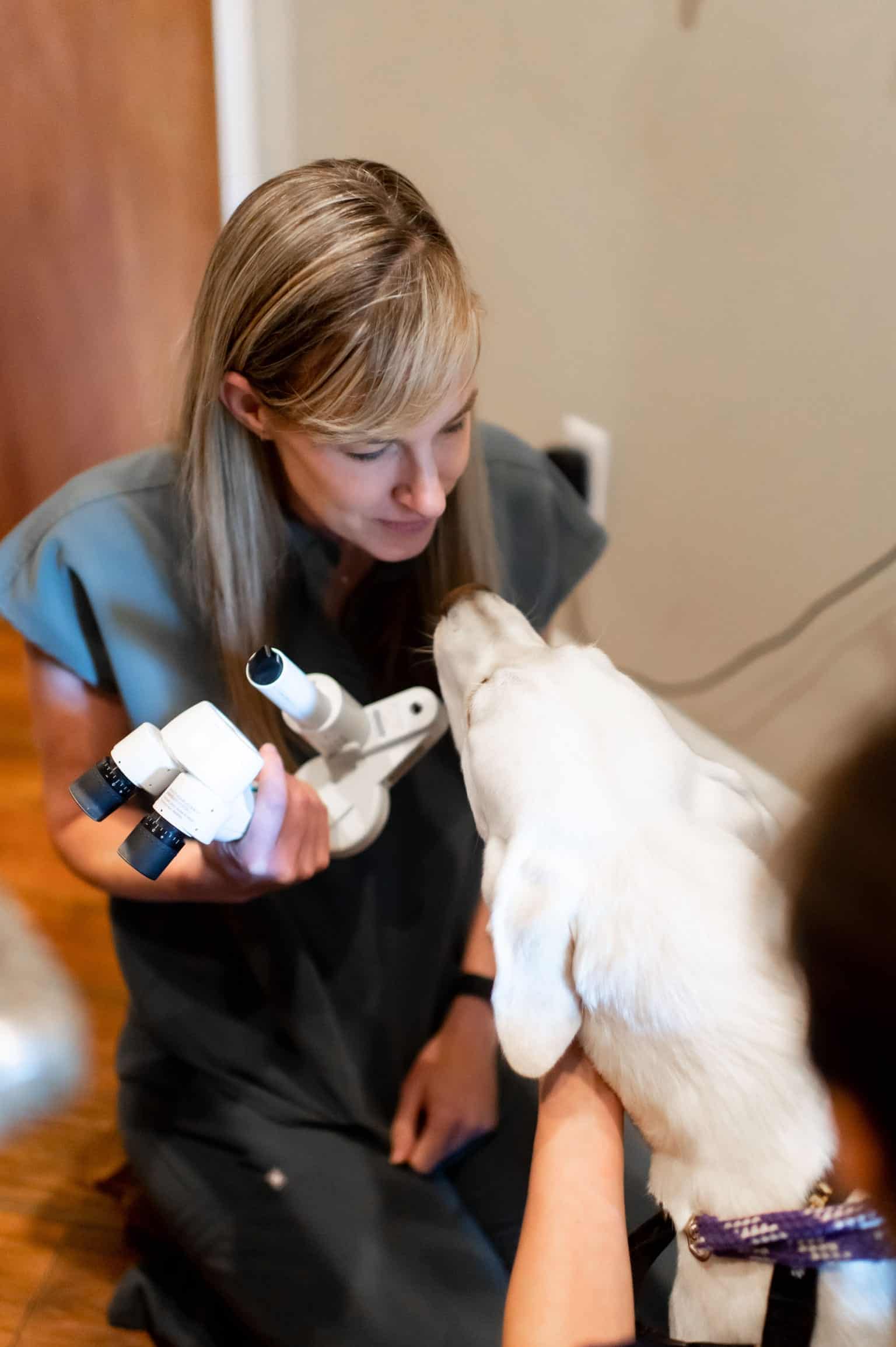 Pet Eye Care: Veterinary Vision Specialists in Richmond
