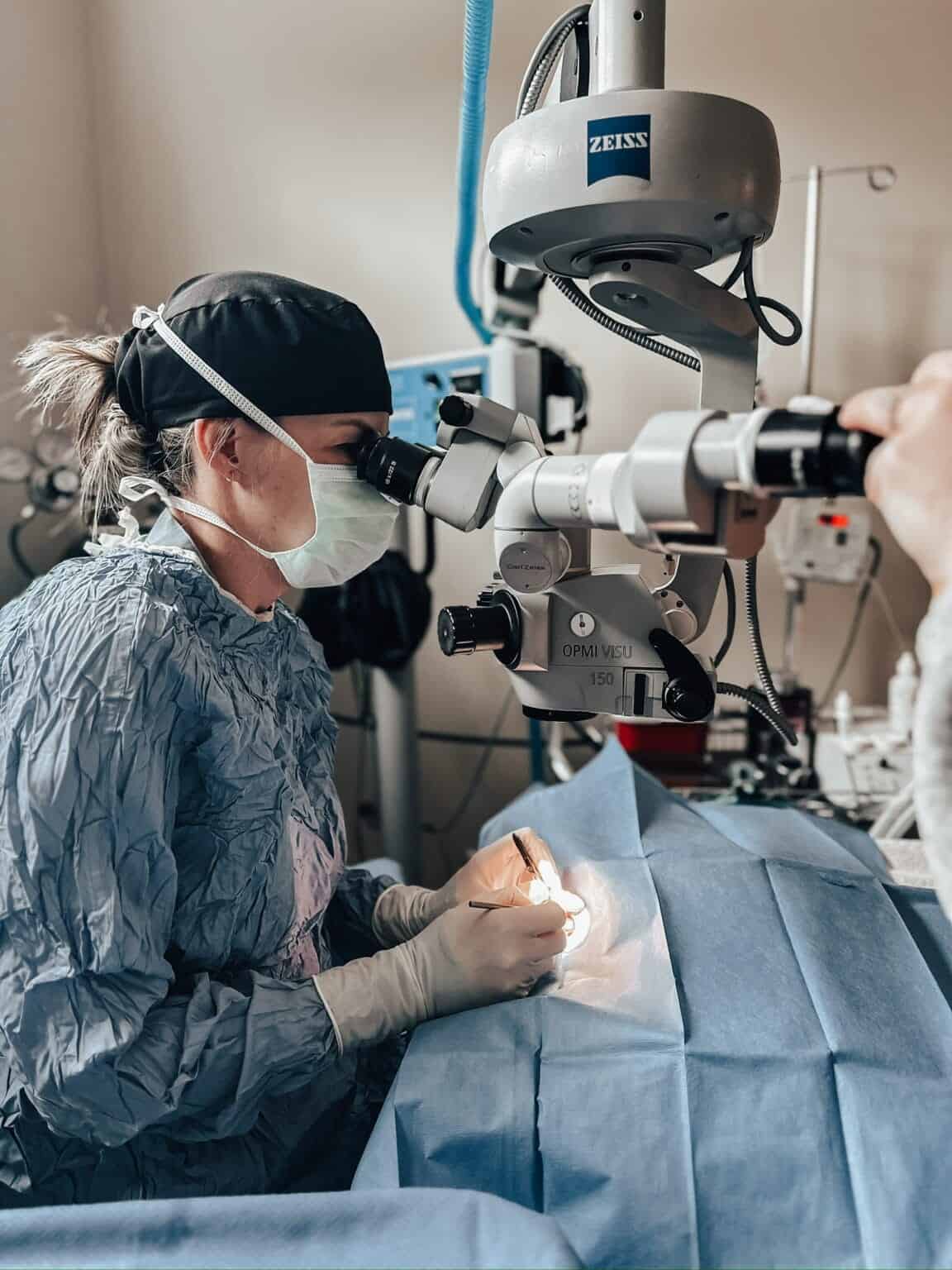 Expert Eye Care for Pets | Veterinary Vision Specialists