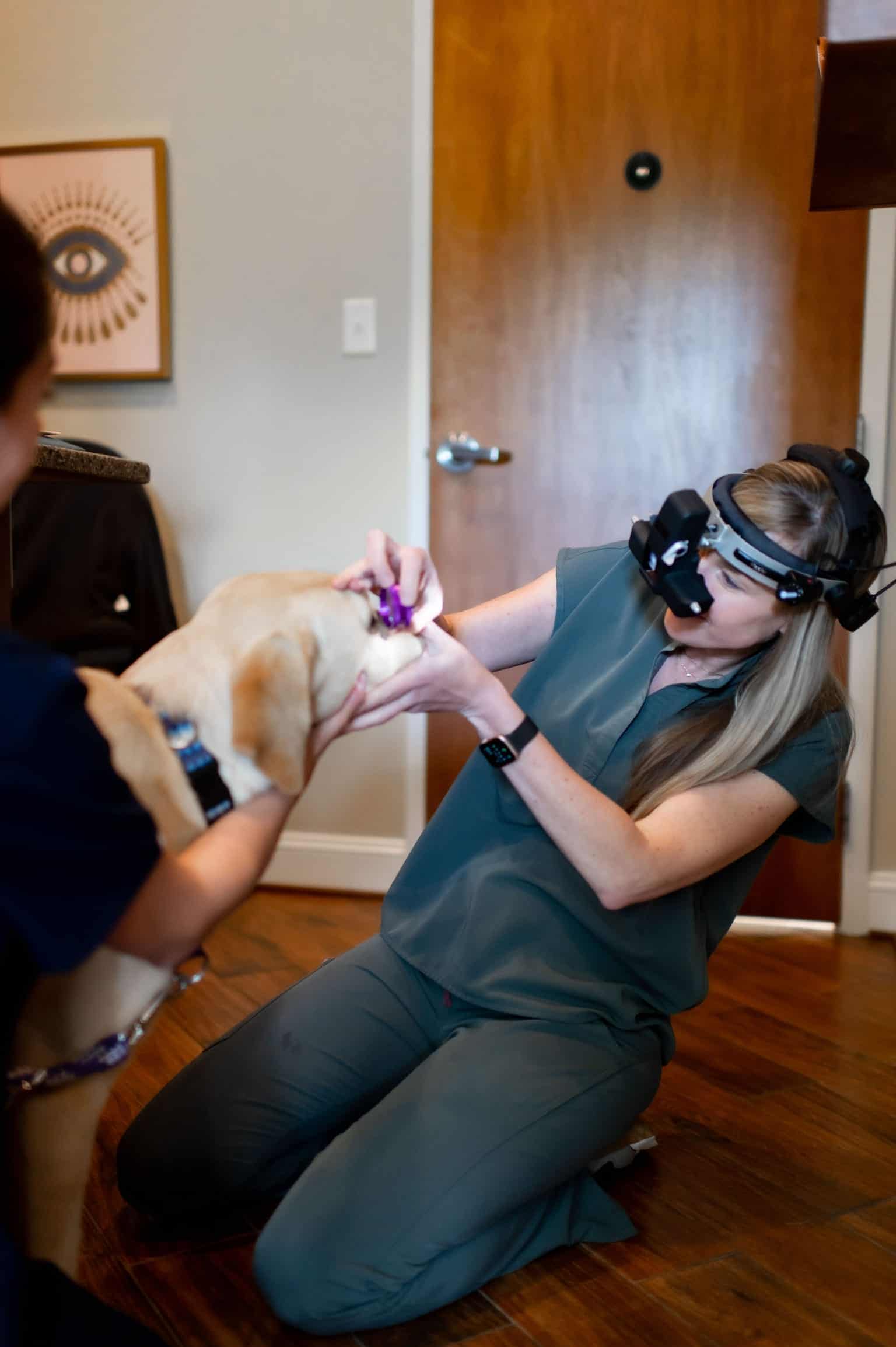 Pet Eye Care: Veterinary Vision Specialists in Richmond